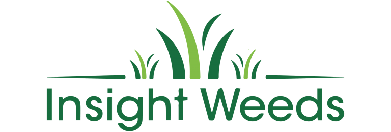 Types of sticker weeds and how to get rid of them - InsightWeeds