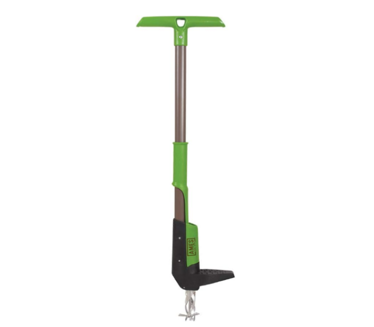 The Best Tools to Remove Weeds in Rocks - InsightWeeds