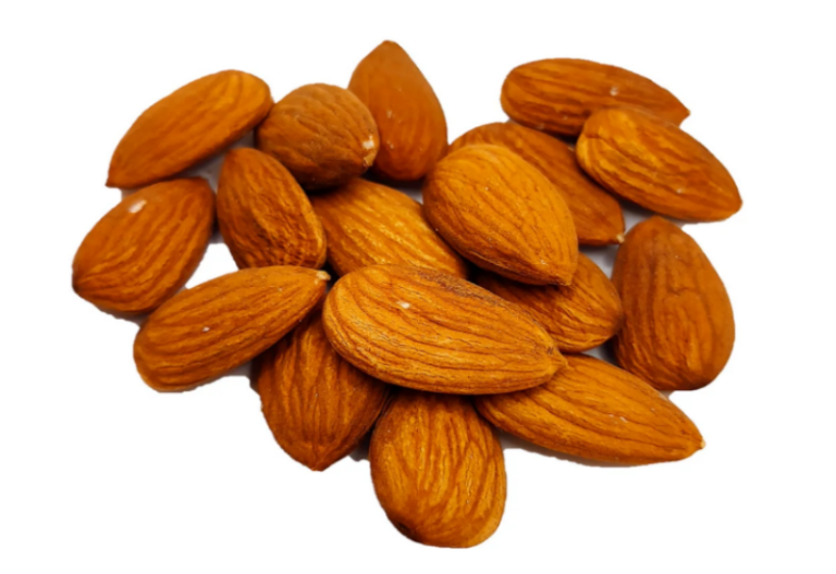 List of Tree Nuts and Their Uses - InsightWeeds