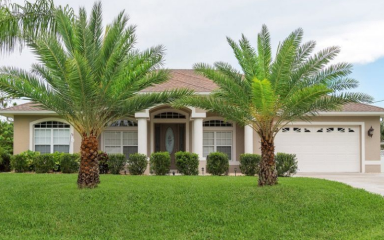 Southern Grass Varieties With Pictures - InsightWeeds