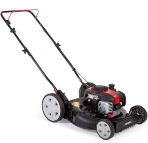 Troubleshooting Briggs and Stratton oil leak problems - InsightWeeds
