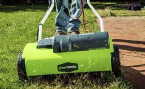 Power raking vs dethatching: difference, pros, cons - InsightWeeds