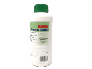 Gallup Weed Killer: 5 Things to Know Before You Spray - InsightWeeds