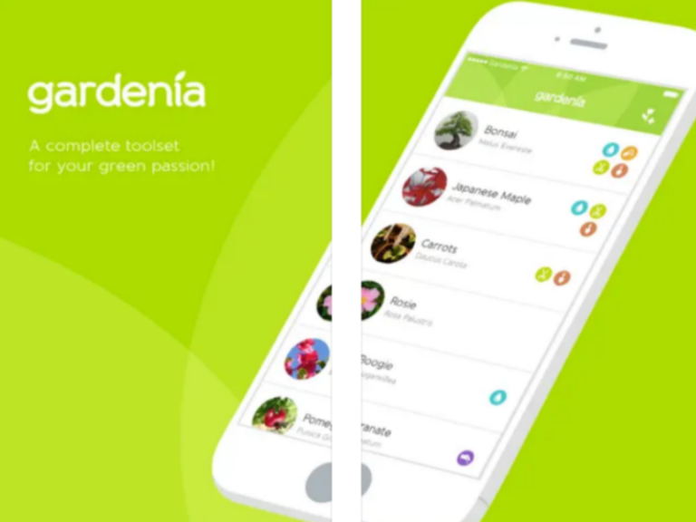 7 Free Plant Care Apps to Keep Your Indoor Plants Healthy - InsightWeeds