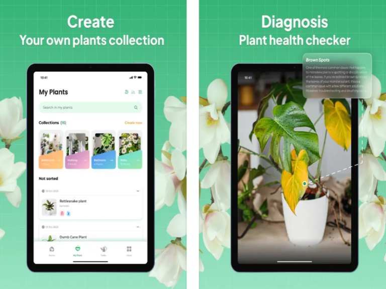 LeafSnap Plant Identification App Review: Is It Worth It? - InsightWeeds
