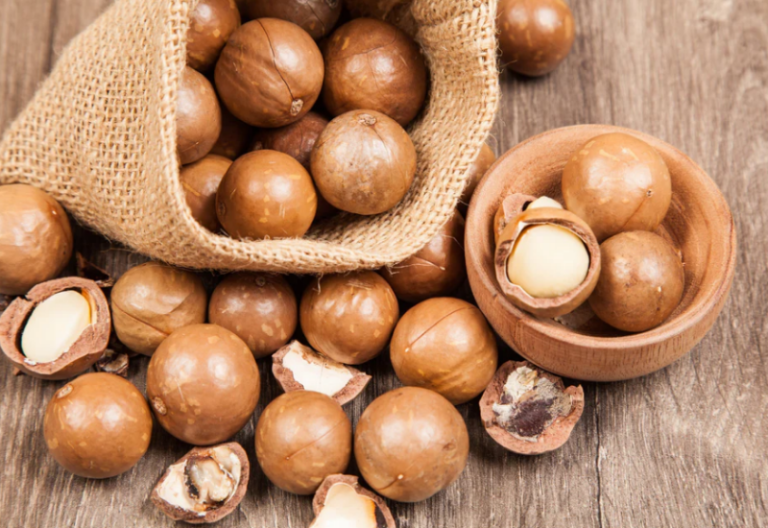 List of Tree Nuts and Their Uses - InsightWeeds