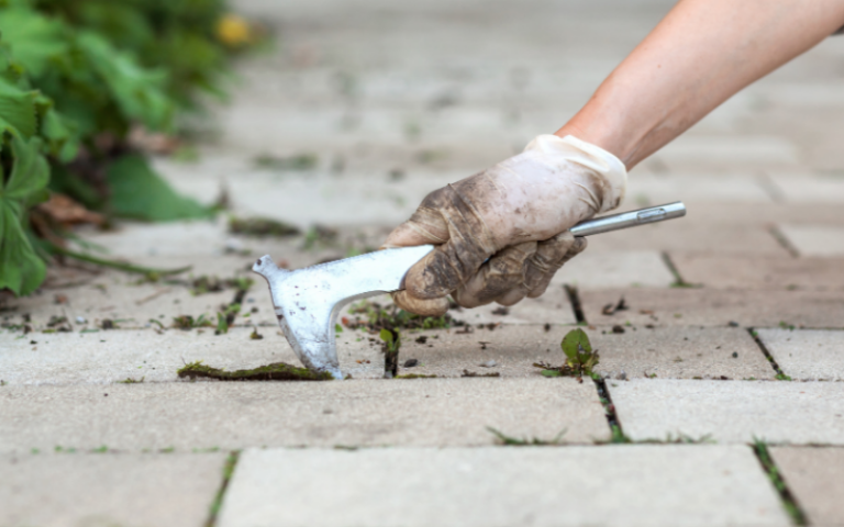 How to Get Rid of Weeds Between Interlocking Bricks - InsightWeeds