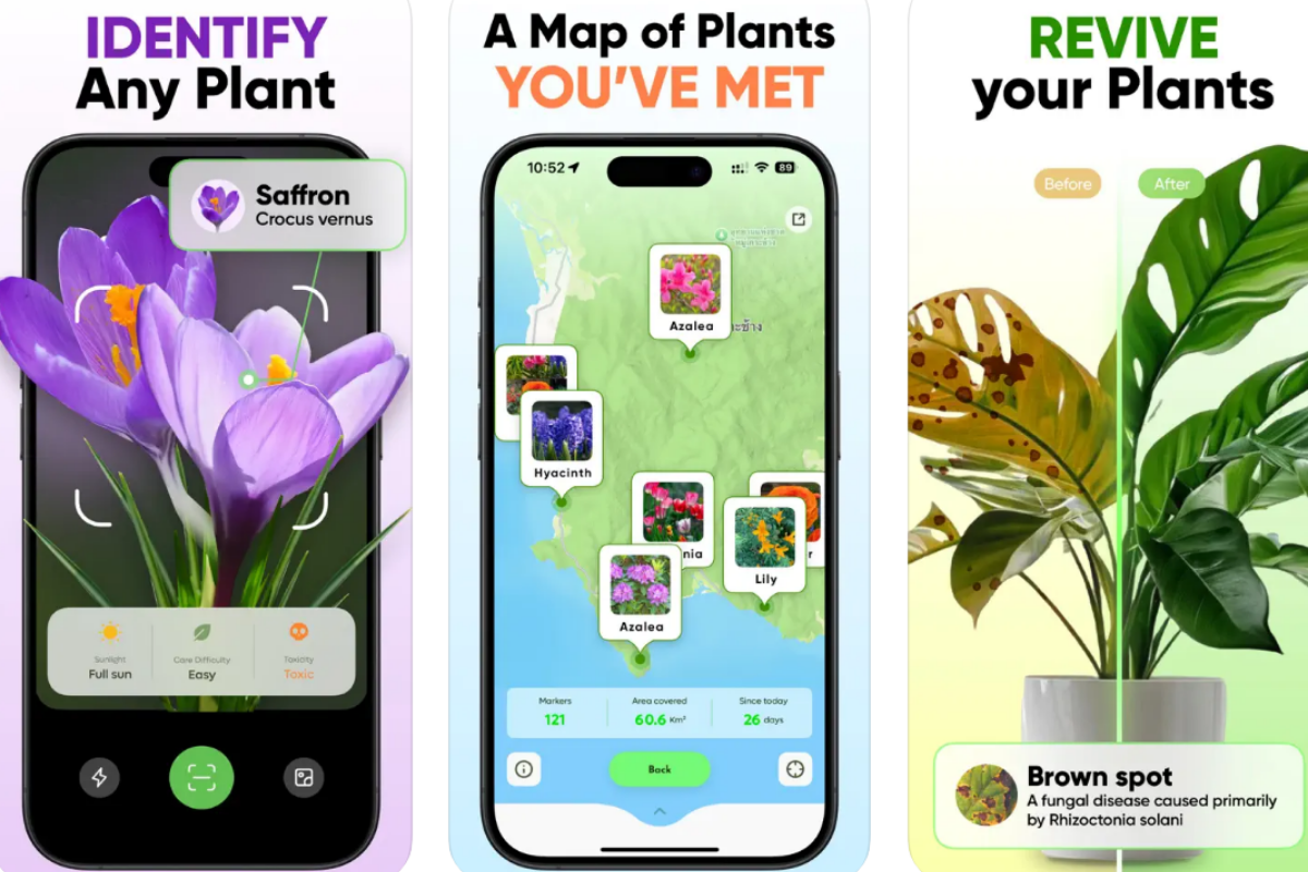 7 Free Plant Care Apps to Keep Your Indoor Plants Healthy - InsightWeeds
