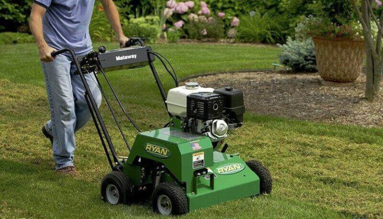 Power raking vs dethatching: difference, pros, cons - InsightWeeds