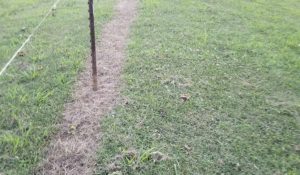 How effective is RM43? Everything you need to know - InsightWeeds