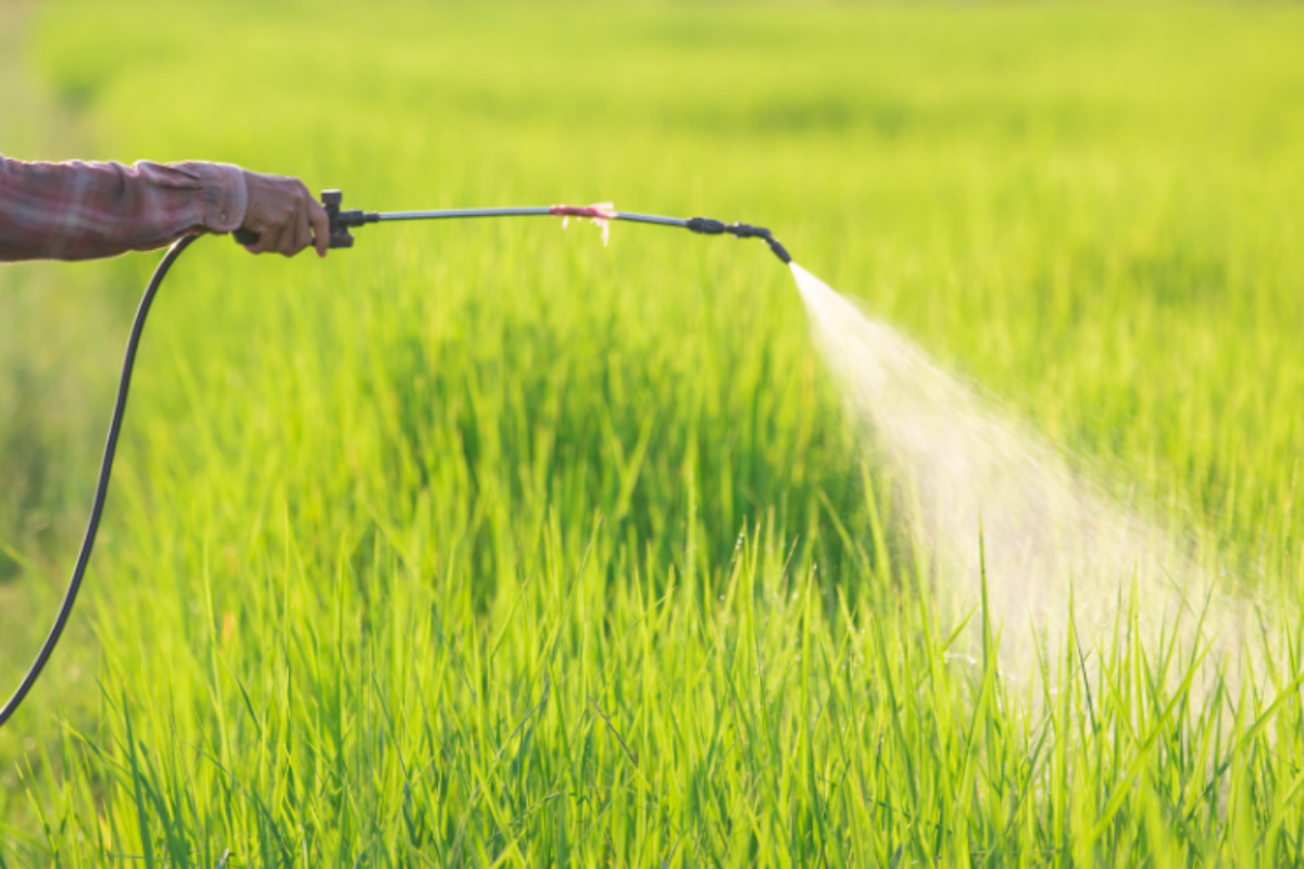 How to Make an Eco-Friendly Grass Killer Using Homemade Ingredients ...