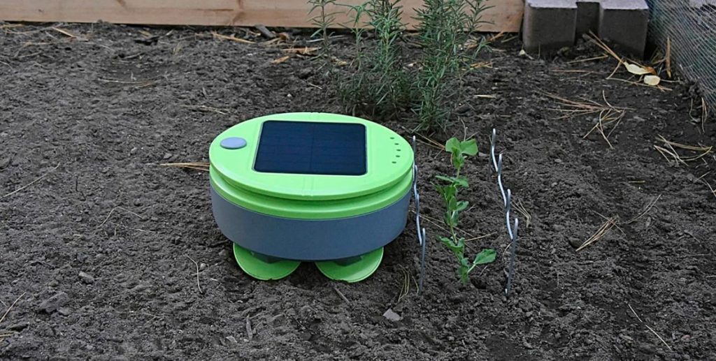 Tertill weeding robot review: Does it work? - InsightWeeds