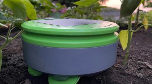 Do weeding robots work? What you should know - InsightWeeds