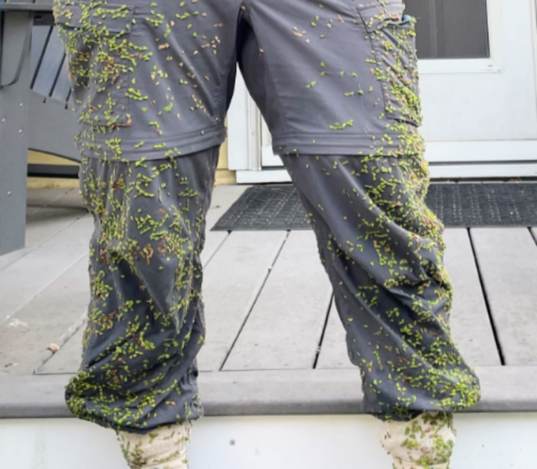 What Are Those Little Green Seeds That Stick To Your Clothes ...