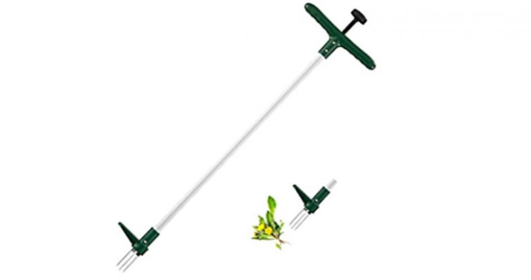 Top 3 crabgrass removal tools that are very effective - InsightWeeds
