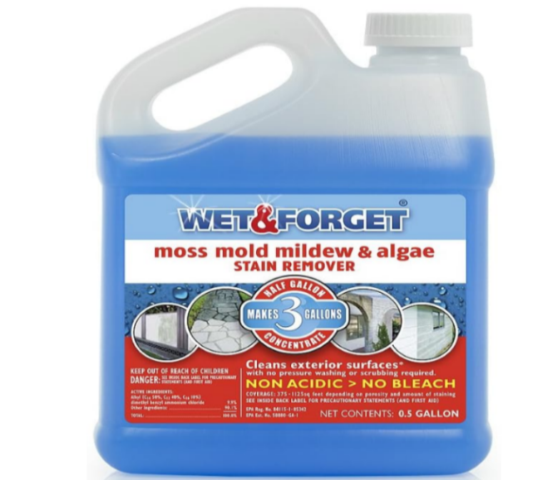How to Remove Algae From Surfaces Without Scrubbing - InsightWeeds