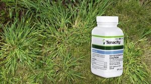 How much Tenacity per gallon of water? - InsightWeeds